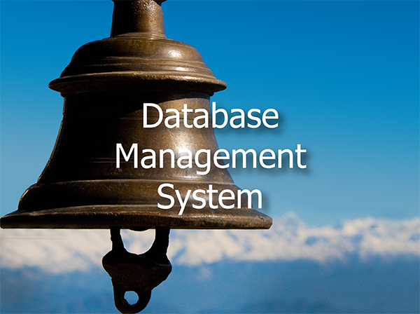 What Is a Database Management System (DBMS)? - Dataversity